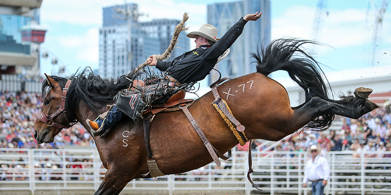 Stampede Rodeo – Listen to Win! | Country 105