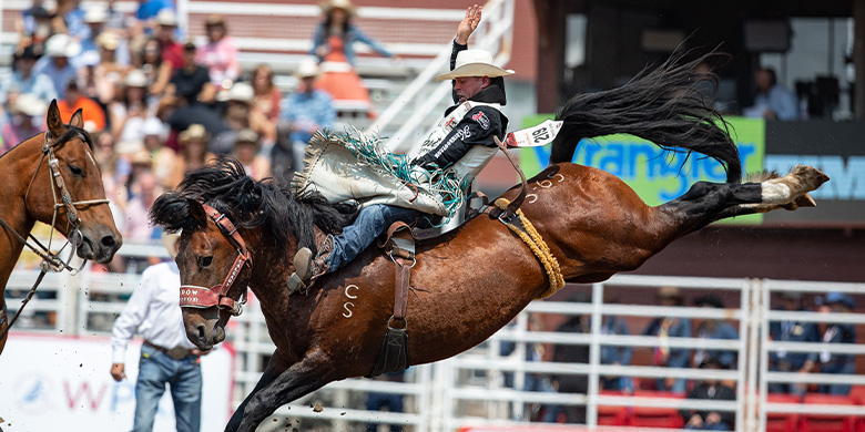 Calgary Stampede Rodeo | Country 105